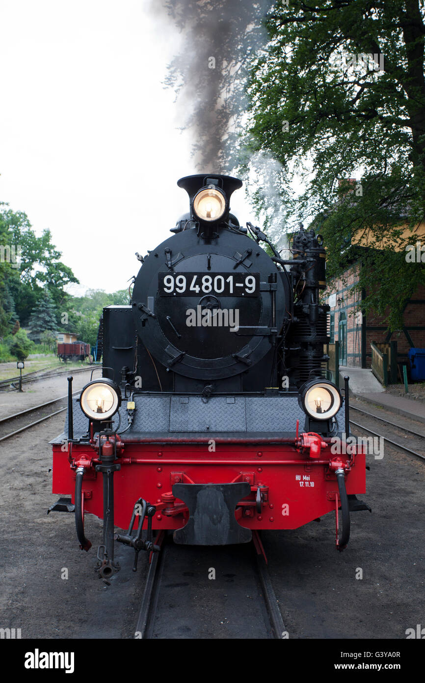 Rasender Roland narrow gauge railway, Binz, Ruegen Island, or Rugia ...