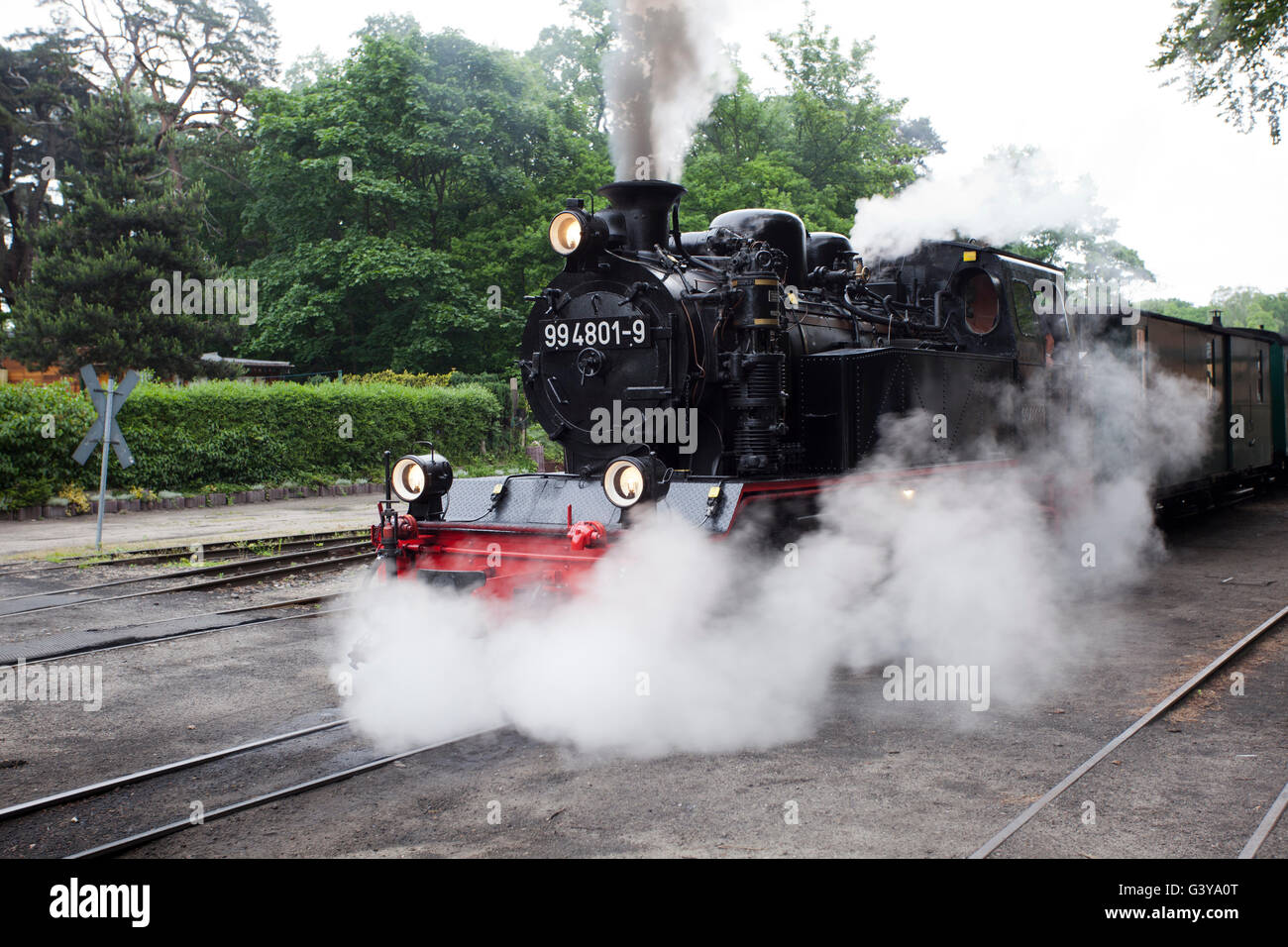 Rasender Roland narrow gauge railway, Binz, Ruegen Island, or Rugia ...
