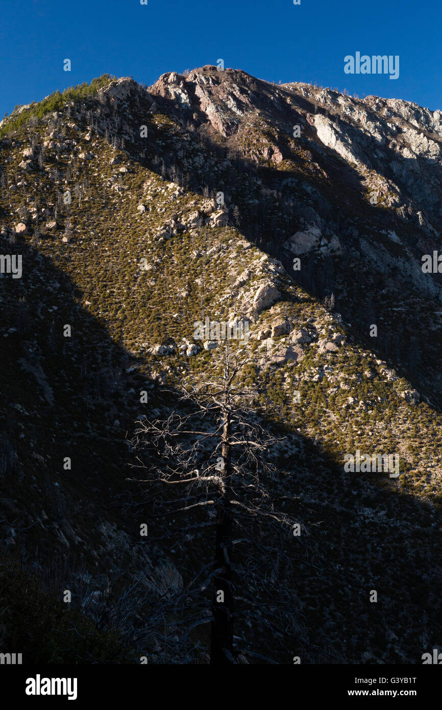 An exposed outcropping of precambrian granite in the Huachuca Mountains ...