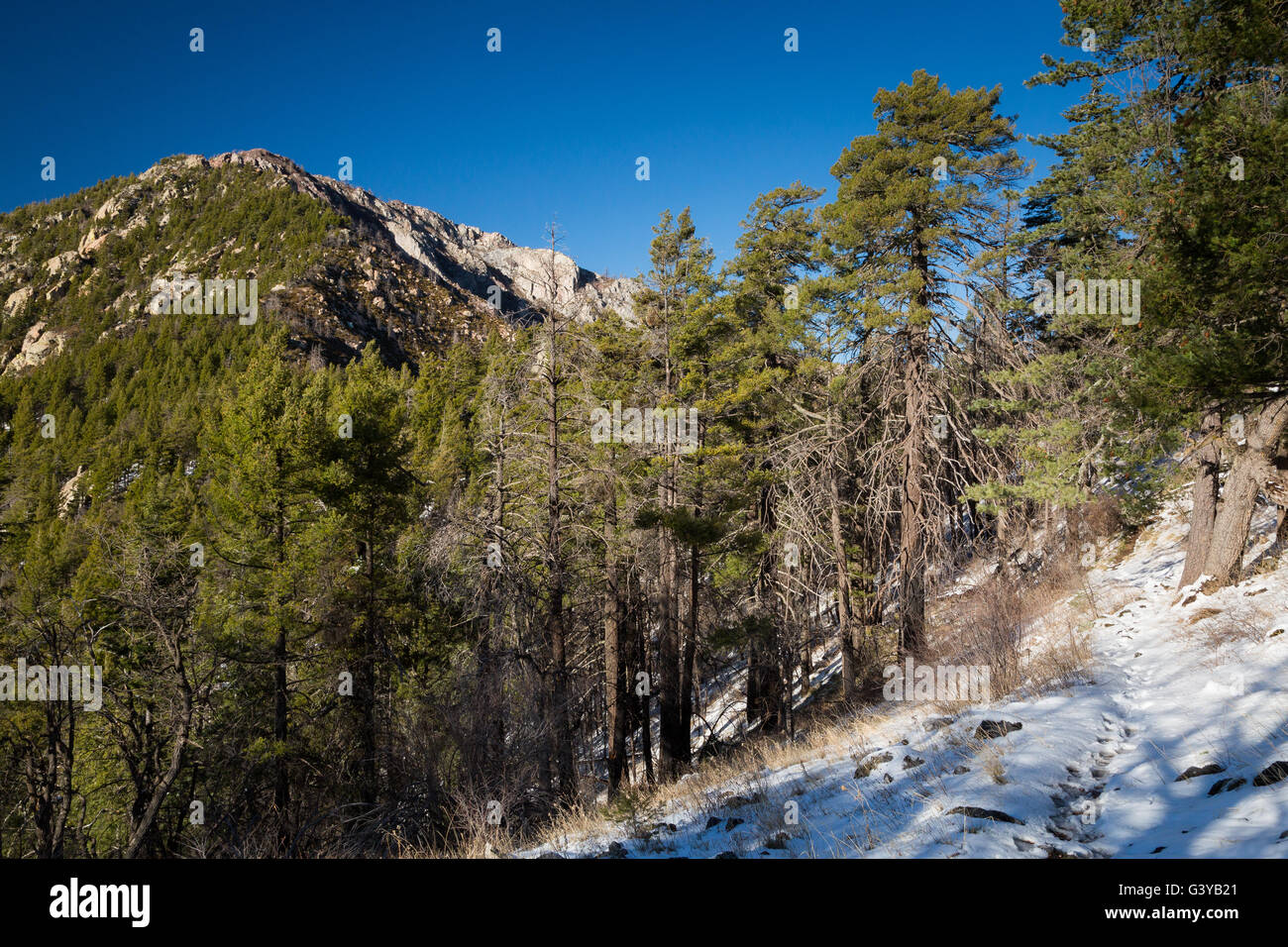 Snow coating the higher elevations of the Huachuca Mountains below ...