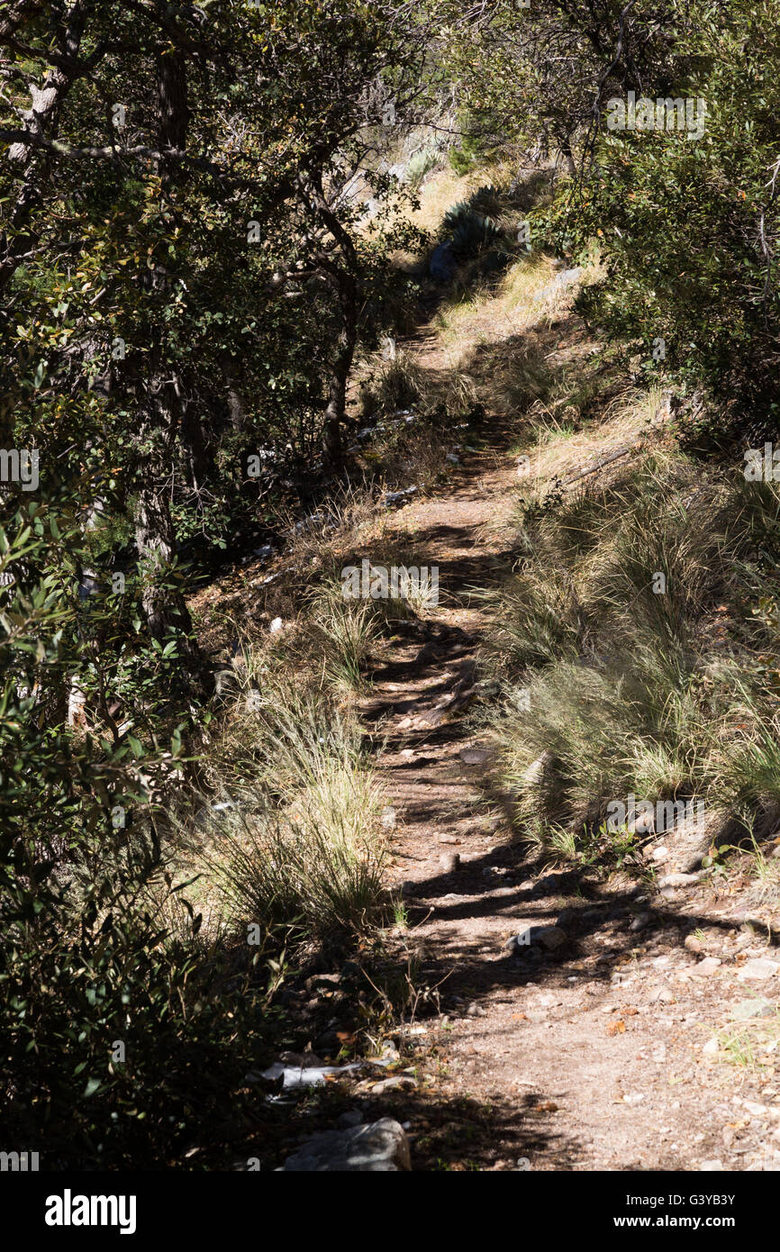 The Arizona Trail traversing the western foothills of the Huachuca ...