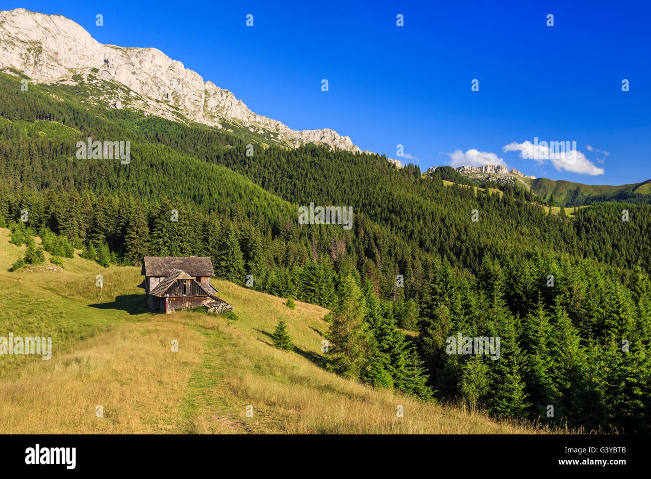 Romanian forests hi-res stock photography and images - Alamy