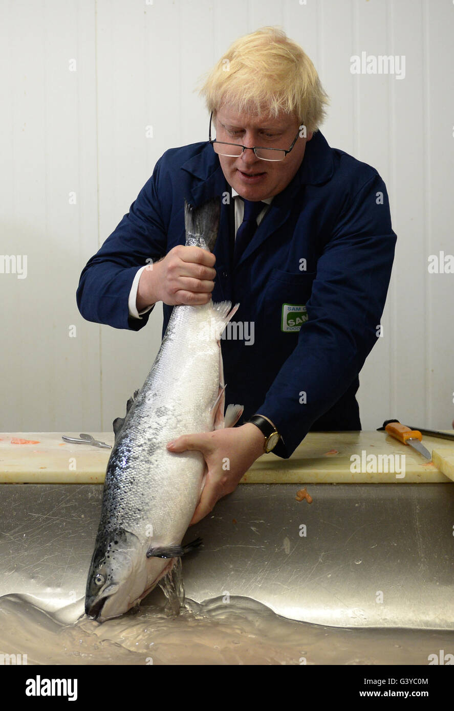 He visits sam cole foods fish processing factory hi-res stock ...