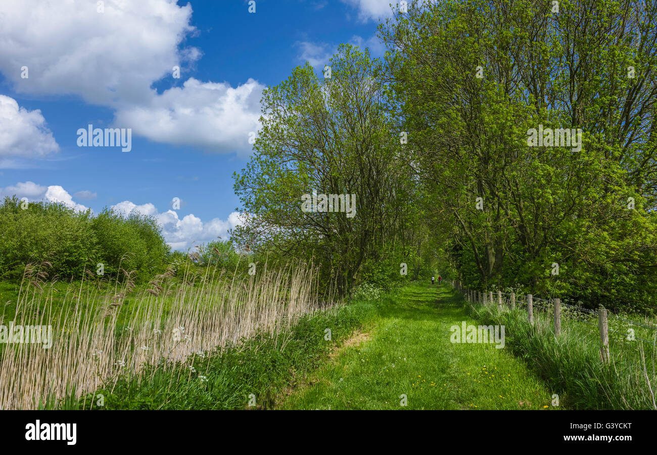 Barmston drain, hull hi-res stock photography and images - Alamy