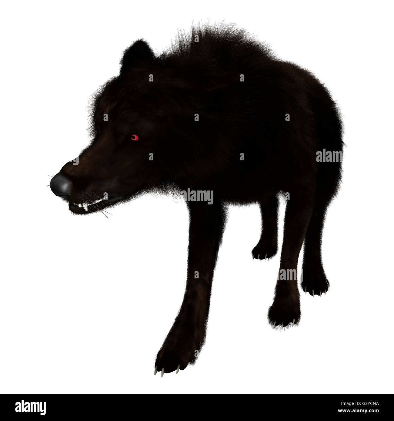 3D rendering of a black wolf isolated on white background Stock Photo ...