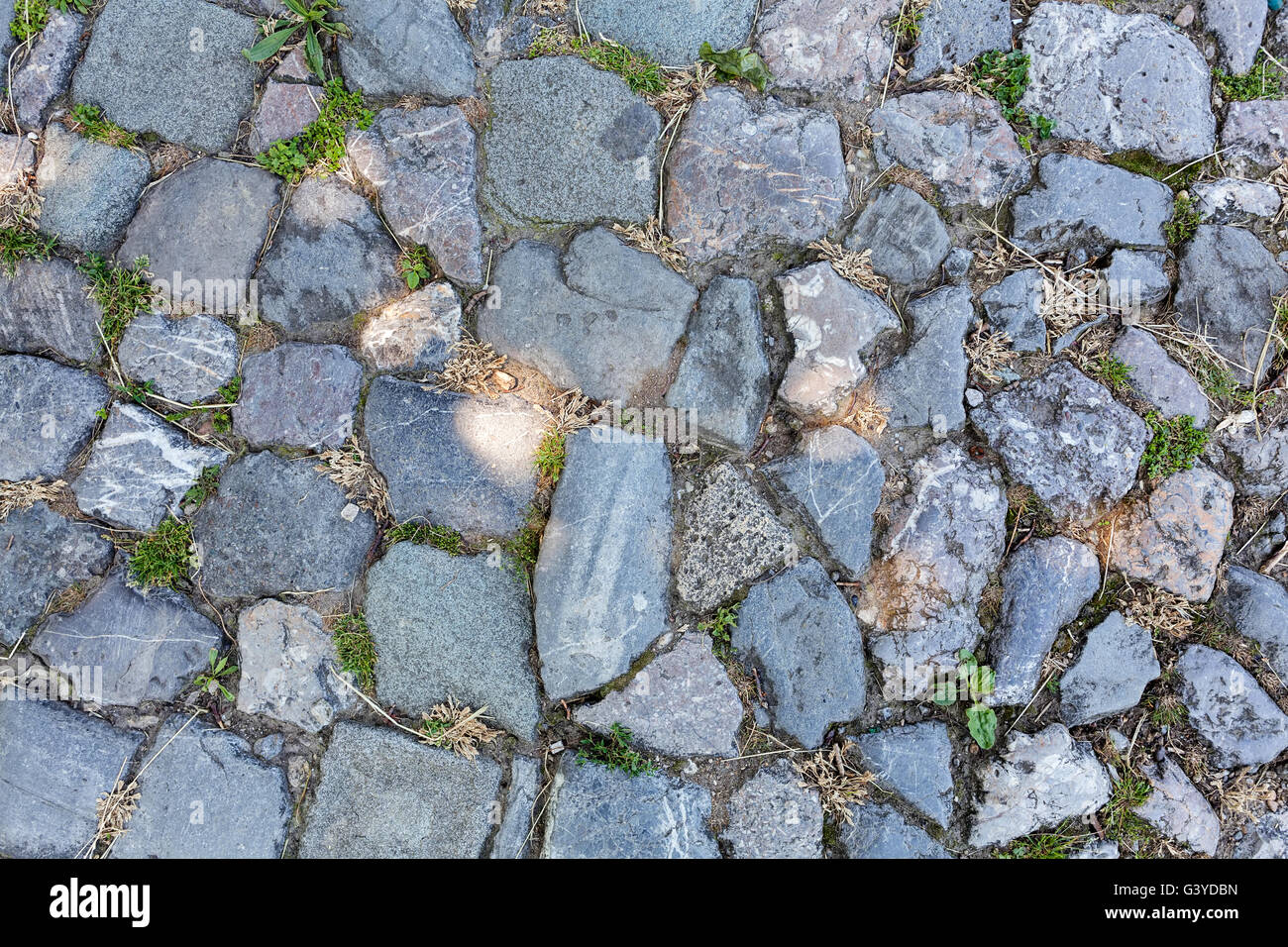 detail of cobblestone path, Kalemegdan park and Belgrade Fortress Stock ...
