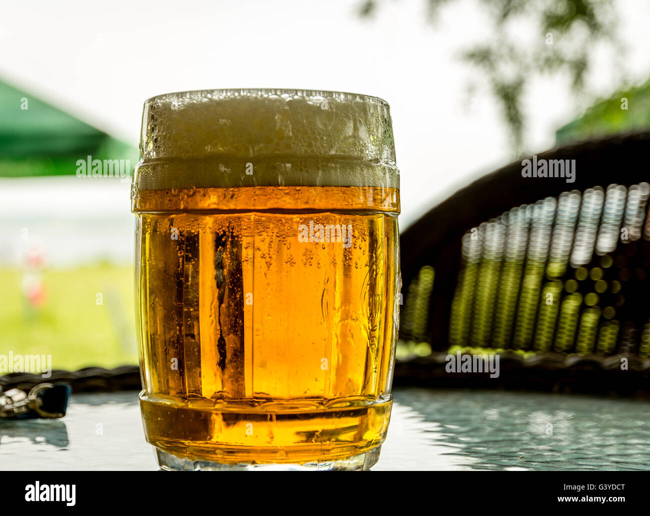Pint of czech lager hi-res stock photography and images - Alamy