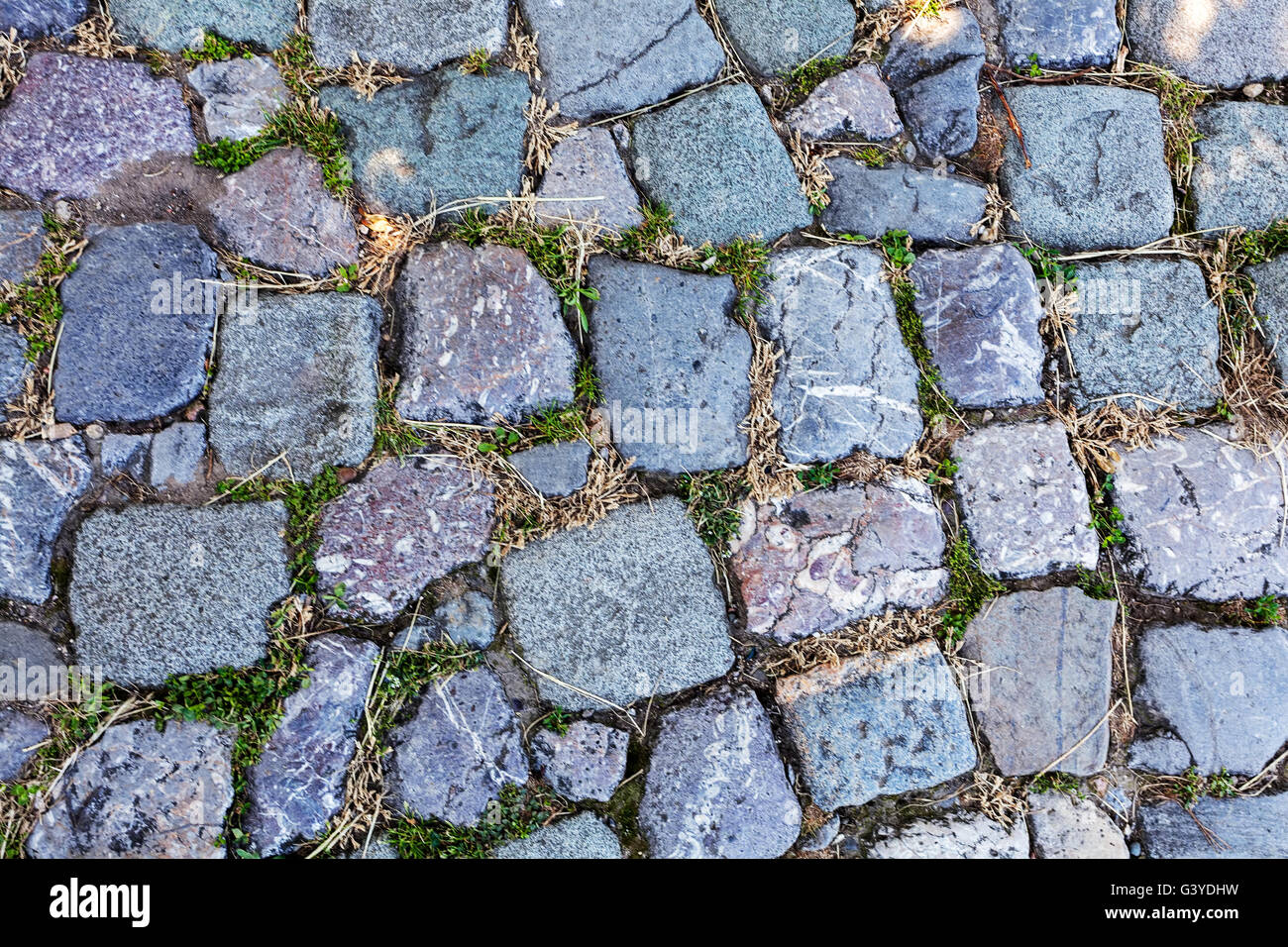 detail of cobblestone path, Kalemegdan park and Belgrade Fortress Stock ...
