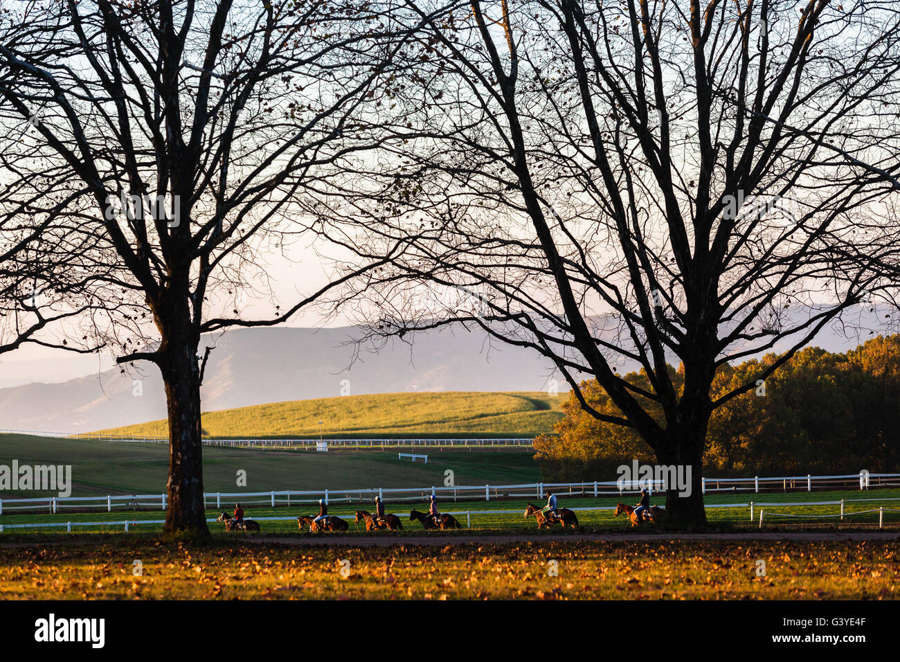 Race horses riders training countryside morning track landscape Stock ...