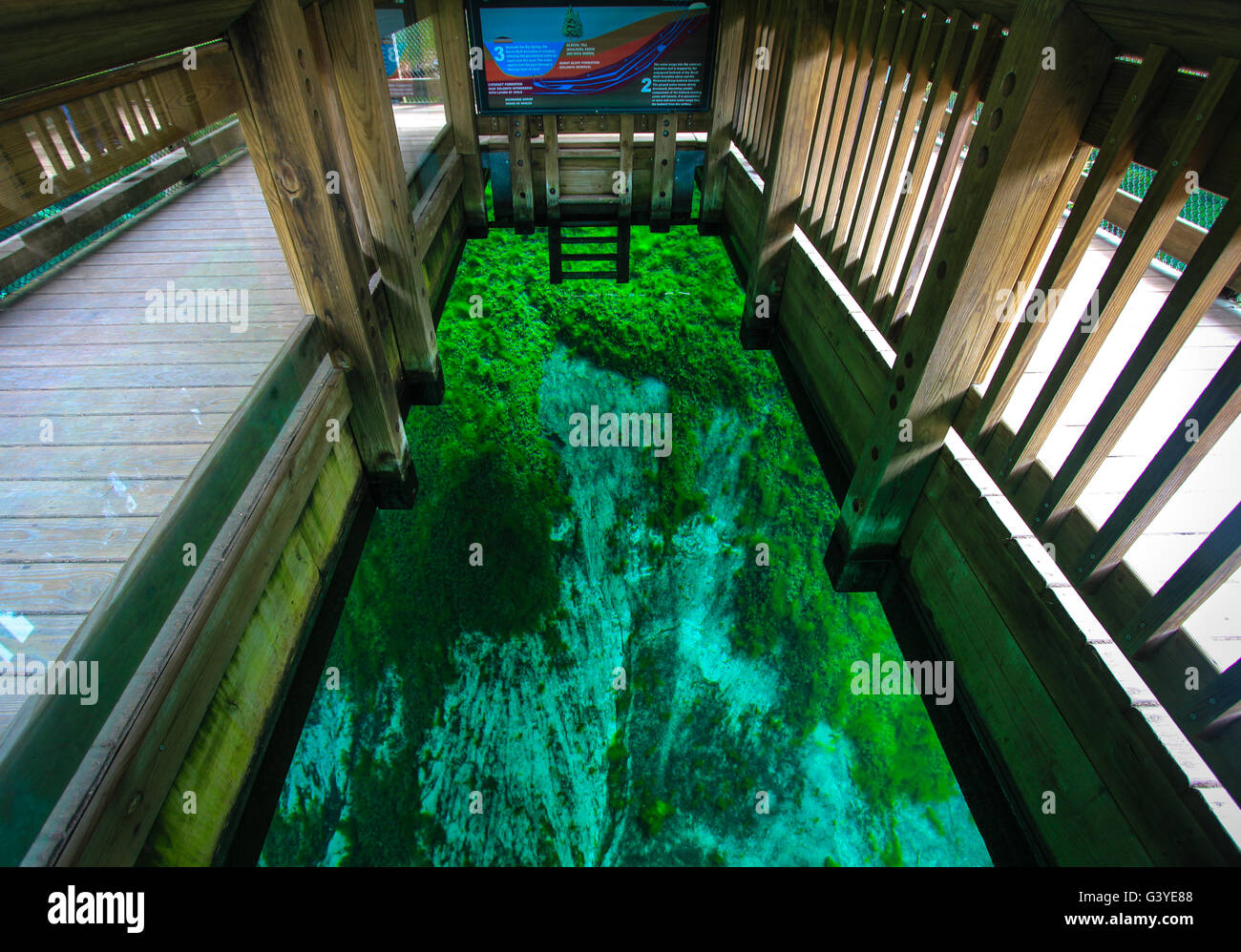 Palms Book State Park. Looking into Michigan's largest freshwater ...