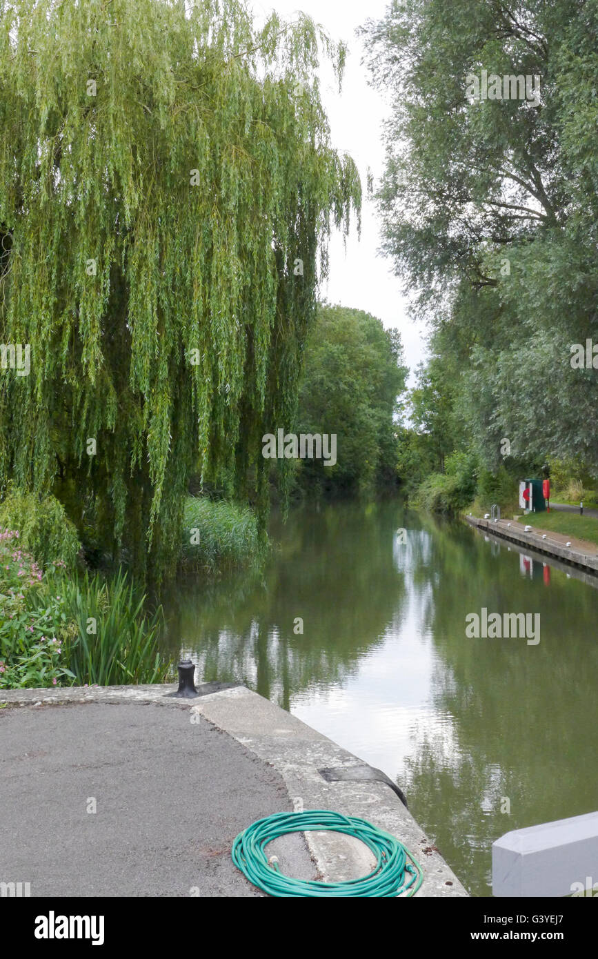 Thames water way with overhanging trees, near Radcot Stock Photo - Alamy