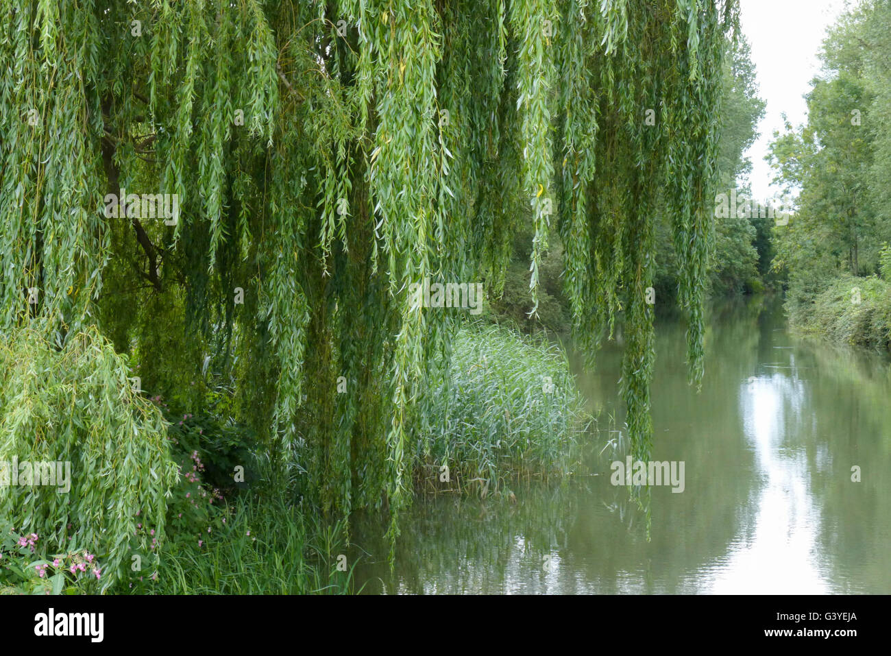 Thames water way hi-res stock photography and images - Alamy