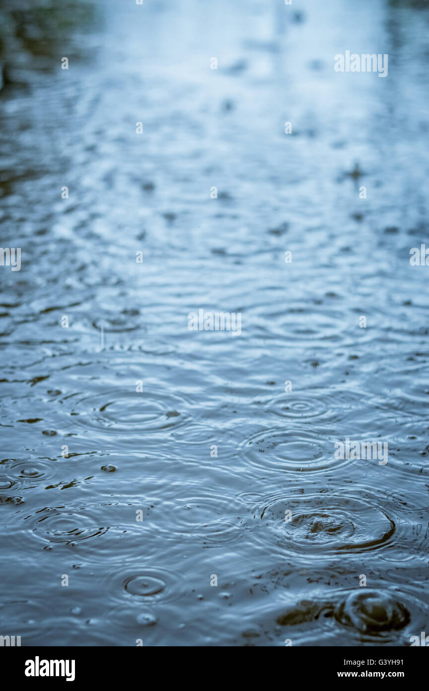 Raindrop In A Puddle Of Water Stock Photos & Raindrop In A Puddle Of ...