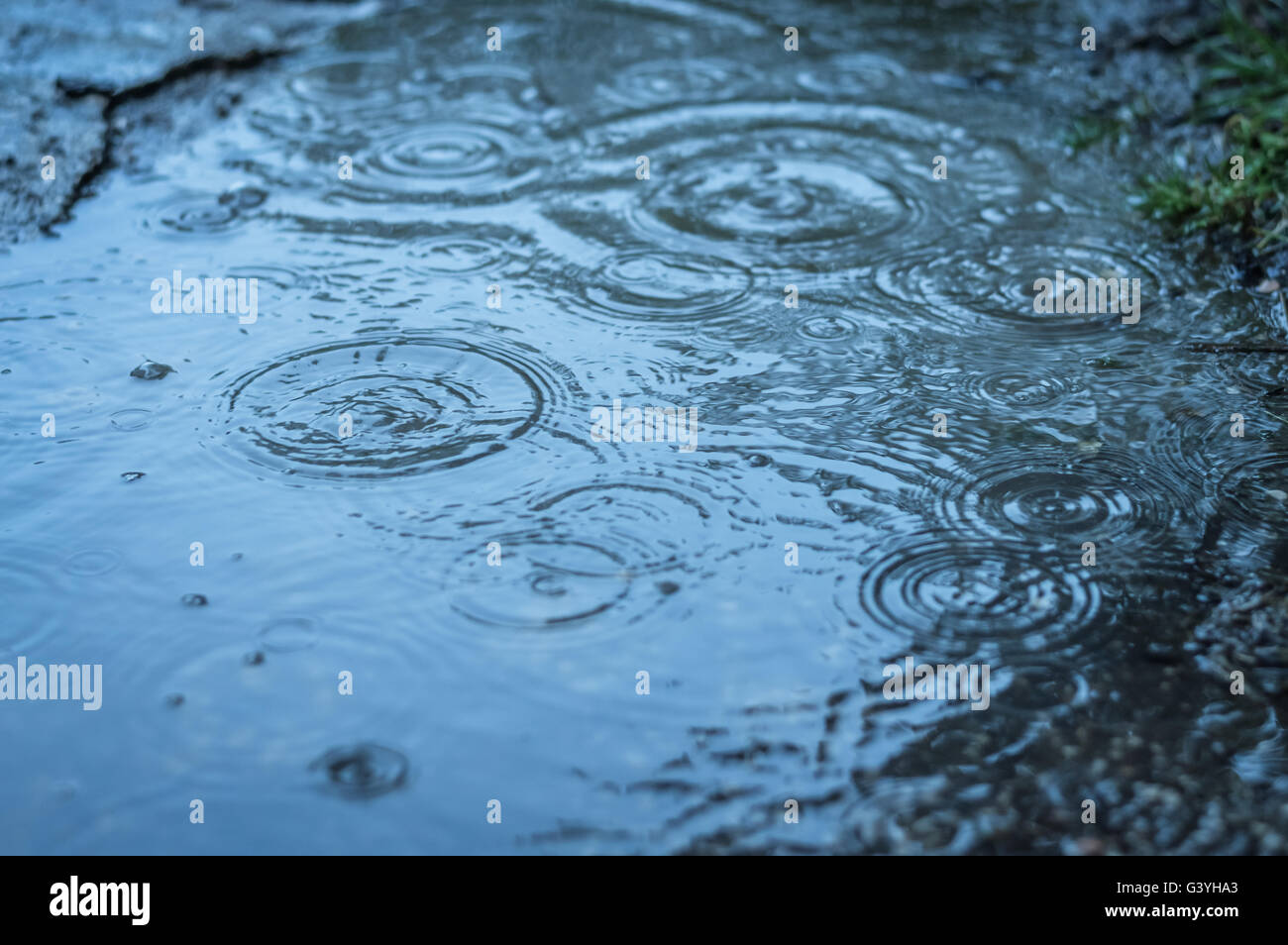 Raindrop in a puddle of water hi-res stock photography and images - Alamy