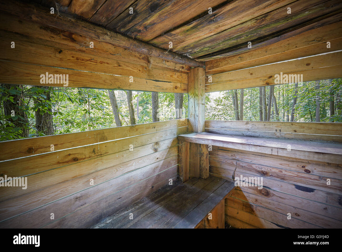 Interior of hunting tower in the summer season Stock Photo - Alamy