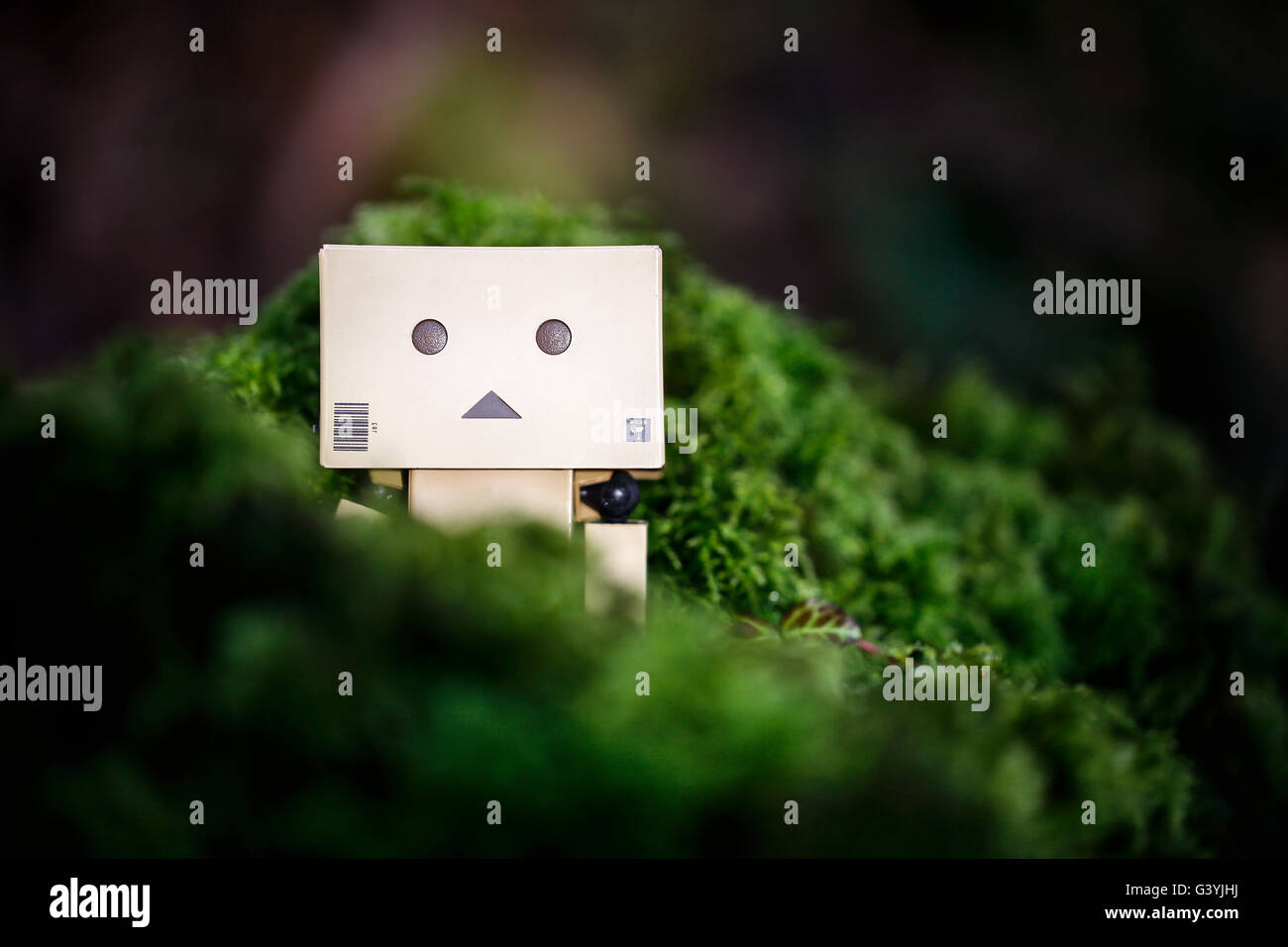 A Danbo Danboard Robot Character hiding amongst undergrowth and lichen ...