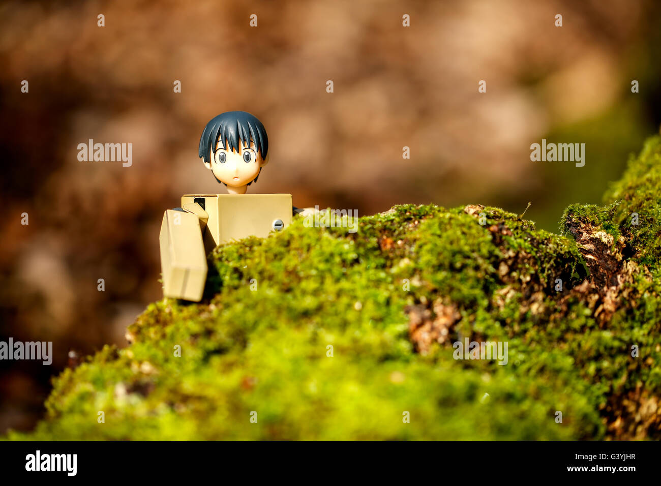 A Danbo Danboard character. Minus its cardboard head. Miura Hasayaka Is ...