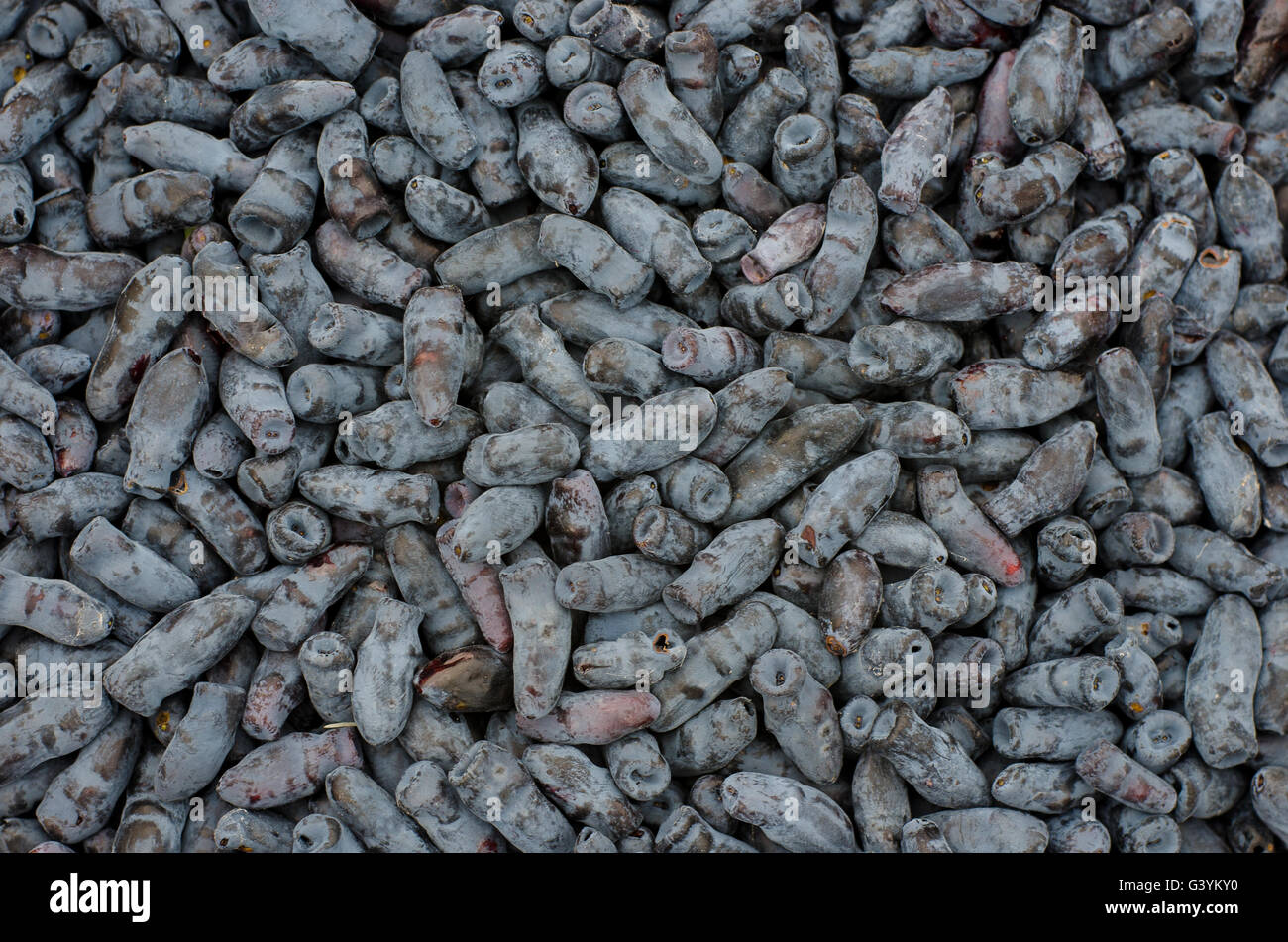 Berry the structure of the background from the berries of the ...