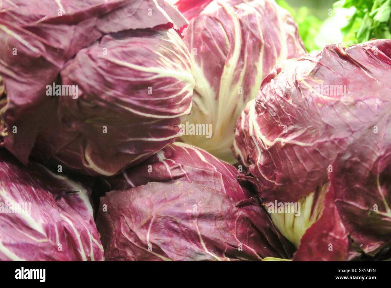 Radicchio, Vegetable Stand, Food Market, Grand Central Terminal, NYC ...