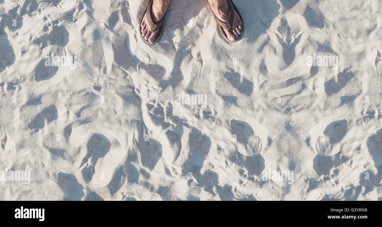 beach sand summer holiday background Stock Photo - Alamy