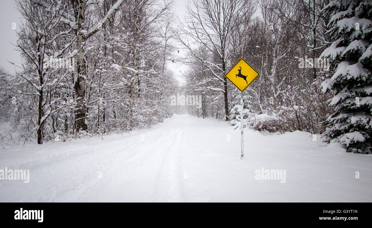 Snow Covered Road With Deer Crossing Sign. Snow covered rural road ...
