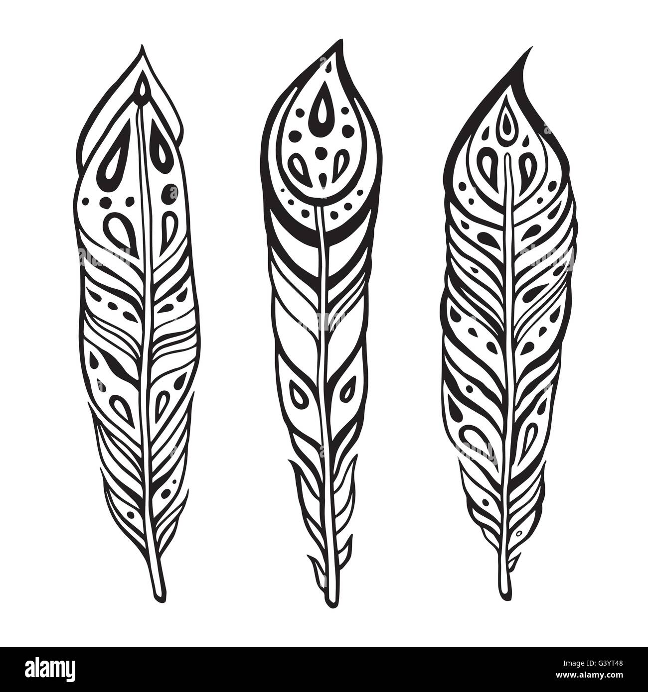 Indian peacock white feathers Stock Vector Images - Alamy