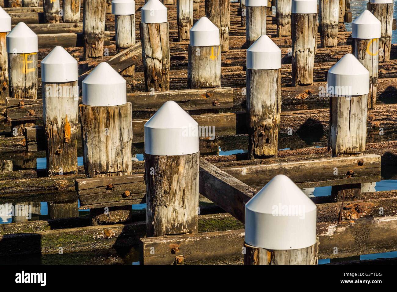 Views of Victoria Docks and Docklands in The City of Melbourne ...