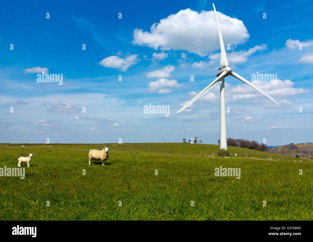 Wind farm uk sheep hi-res stock photography and images - Alamy