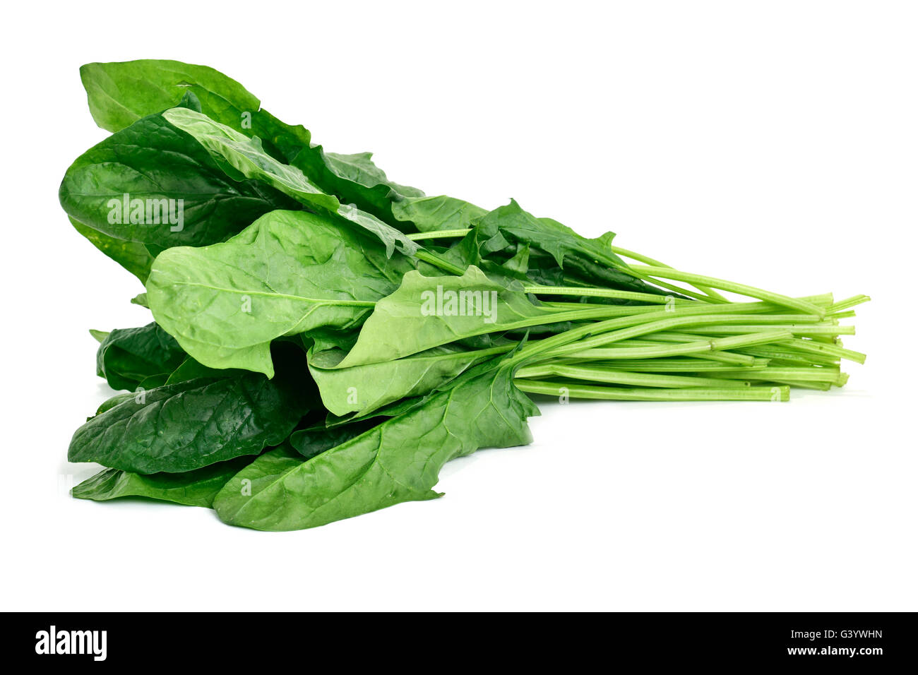 closeup of a bunch of raw spinach on a white background Stock Photo - Alamy