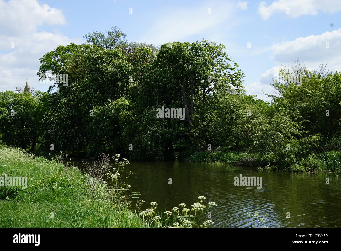 Castor cambridgeshire hi-res stock photography and images - Alamy