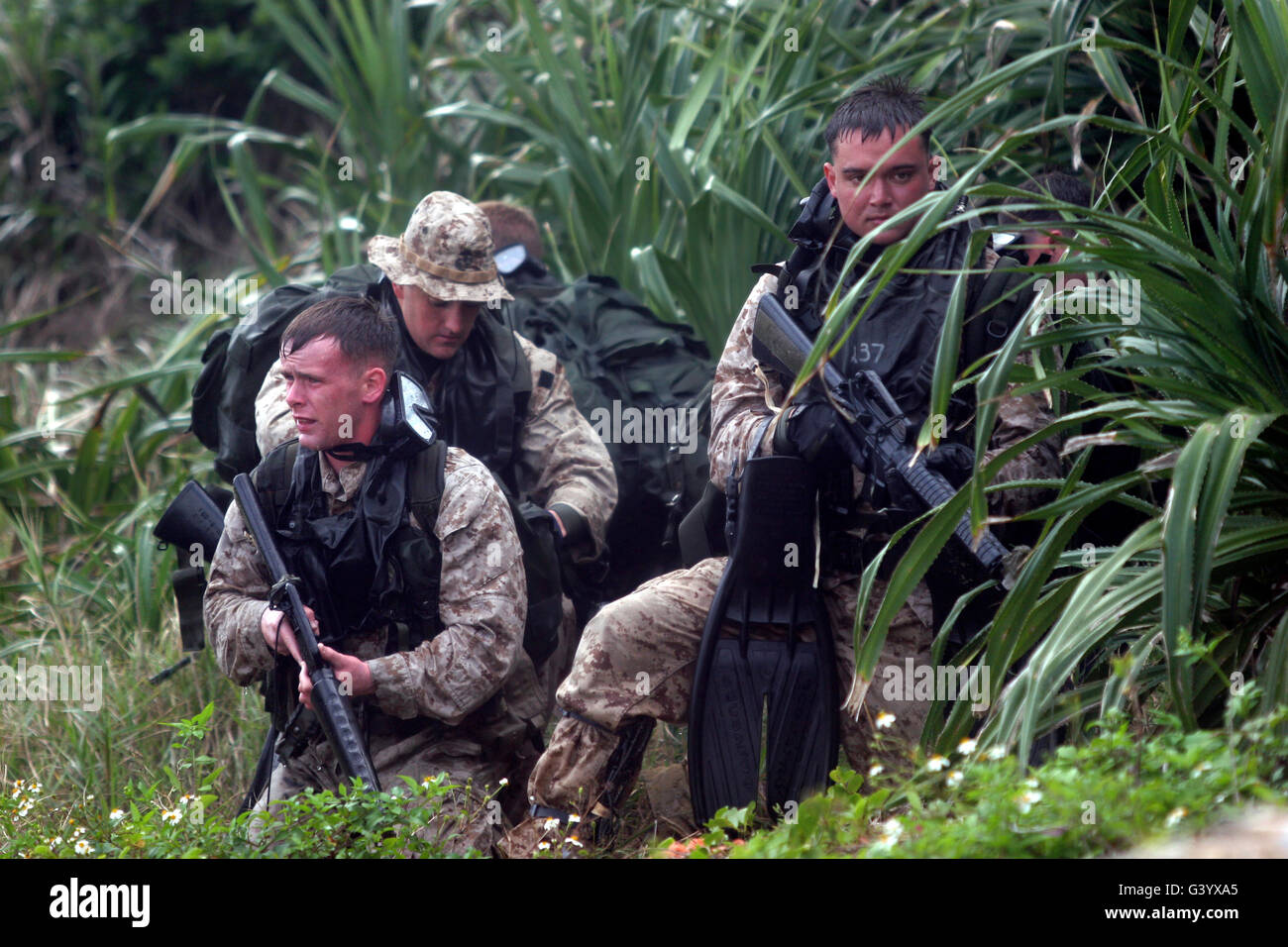 Amphibious reconnaissance hi-res stock photography and images - Alamy