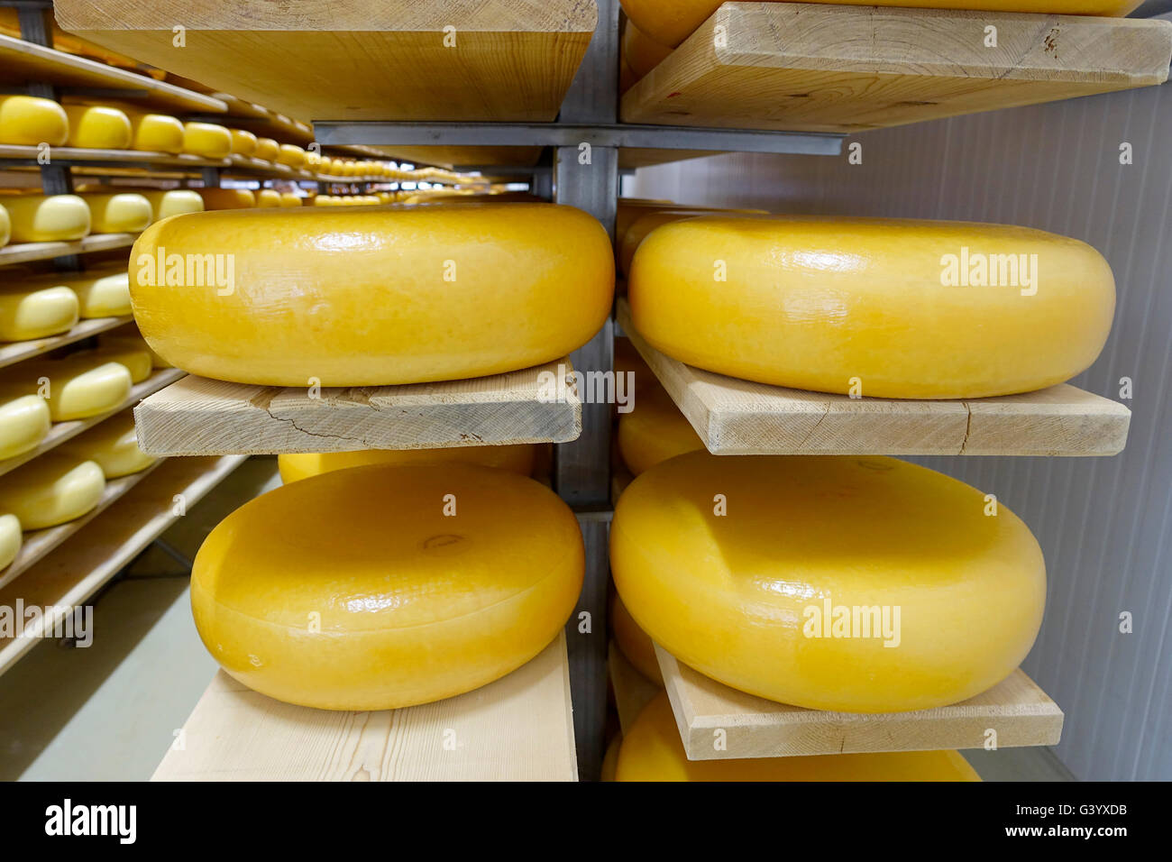 Cheese room hi-res stock photography and images - Alamy