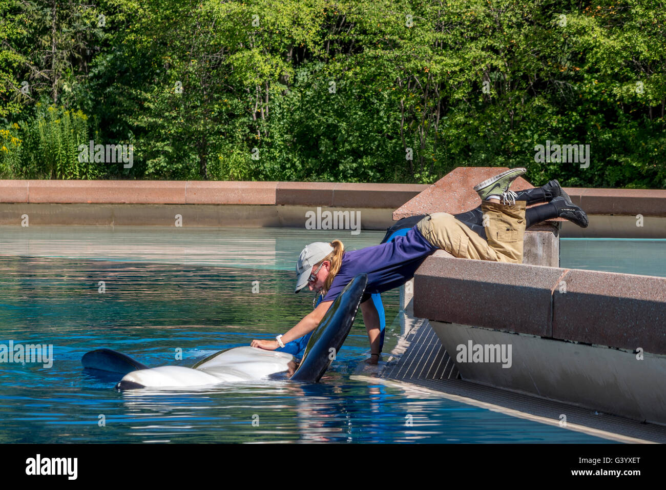 Whale trainers hi-res stock photography and images - Alamy