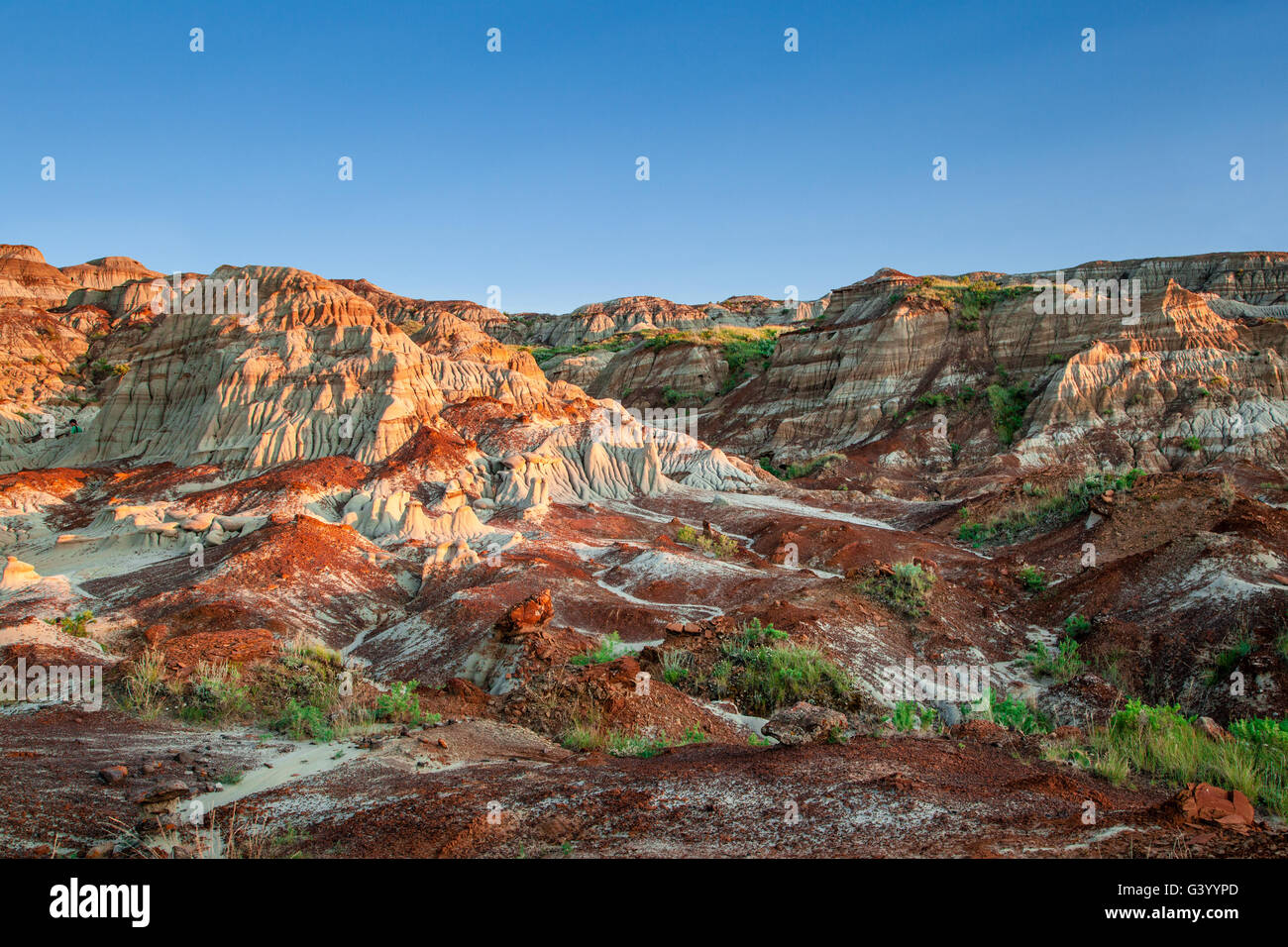 Dinosaur provincial park hi-res stock photography and images - Alamy