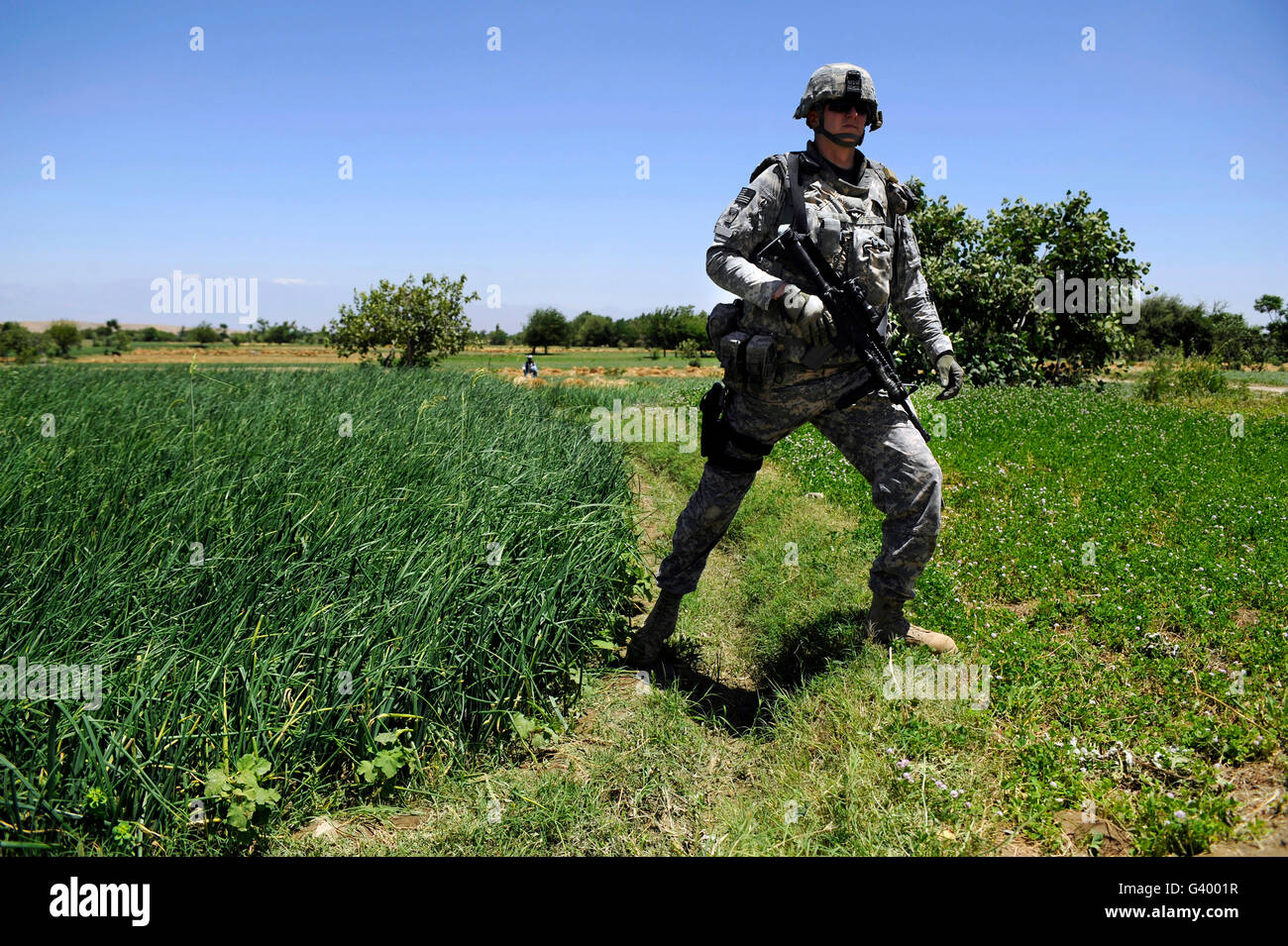 Agricultural development team hi-res stock photography and images - Alamy