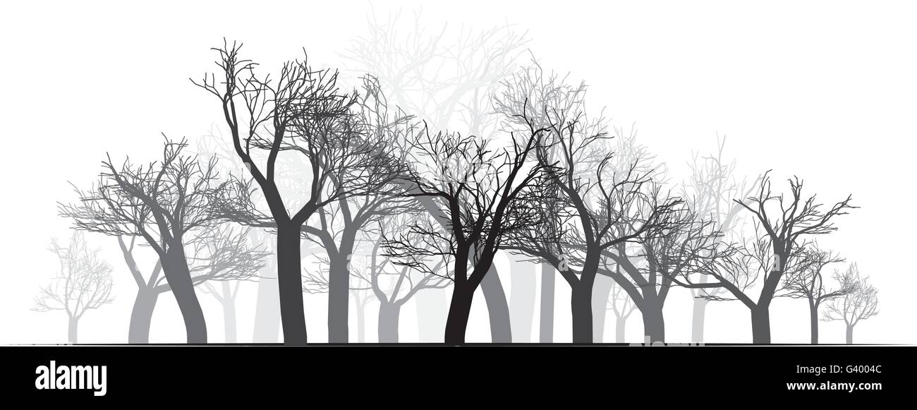 Wide Forest Background - vector illustration Stock Vector Image & Art ...