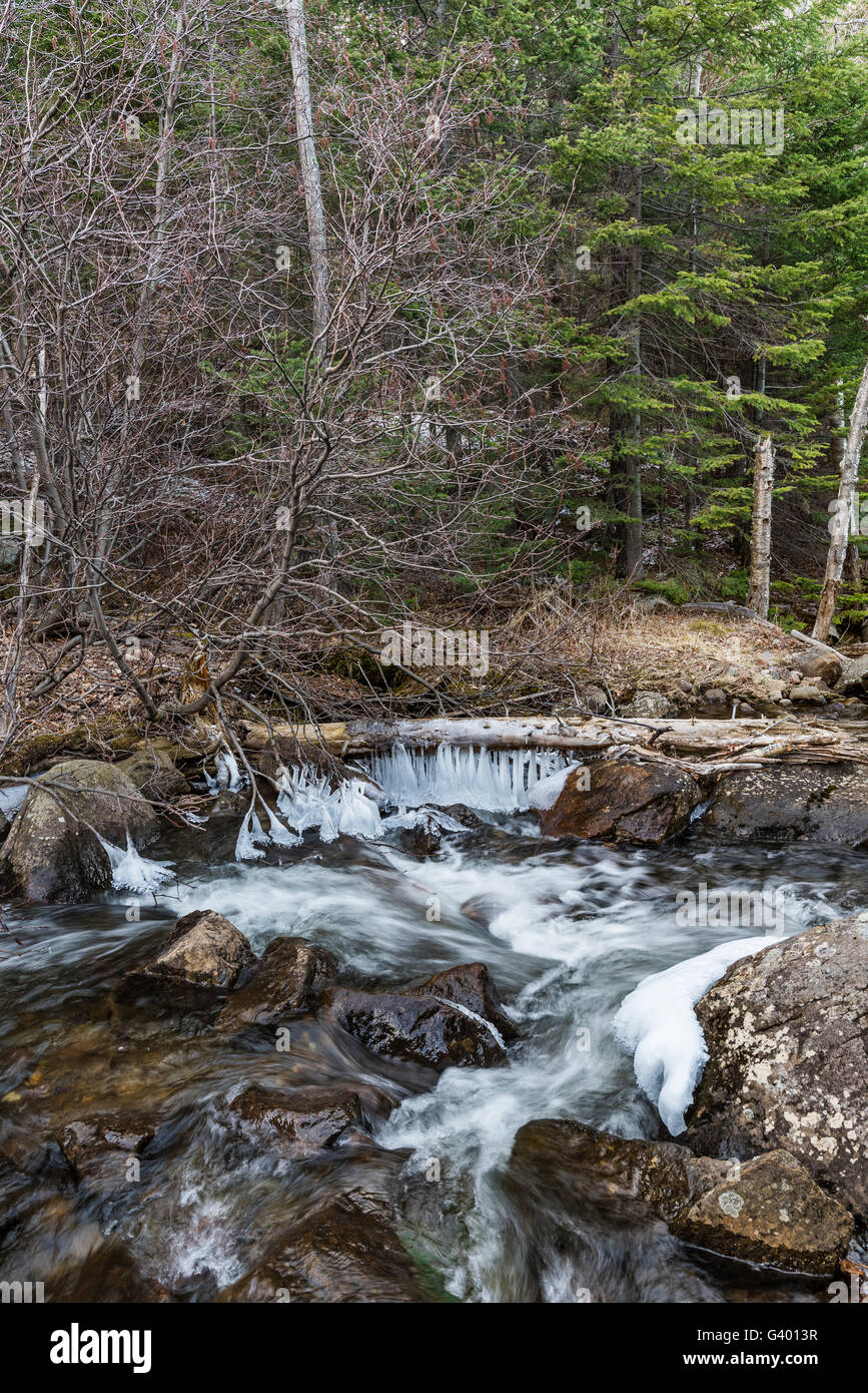 Spring arrives along Cascade Brook, Essex Co., NY Stock Photo - Alamy