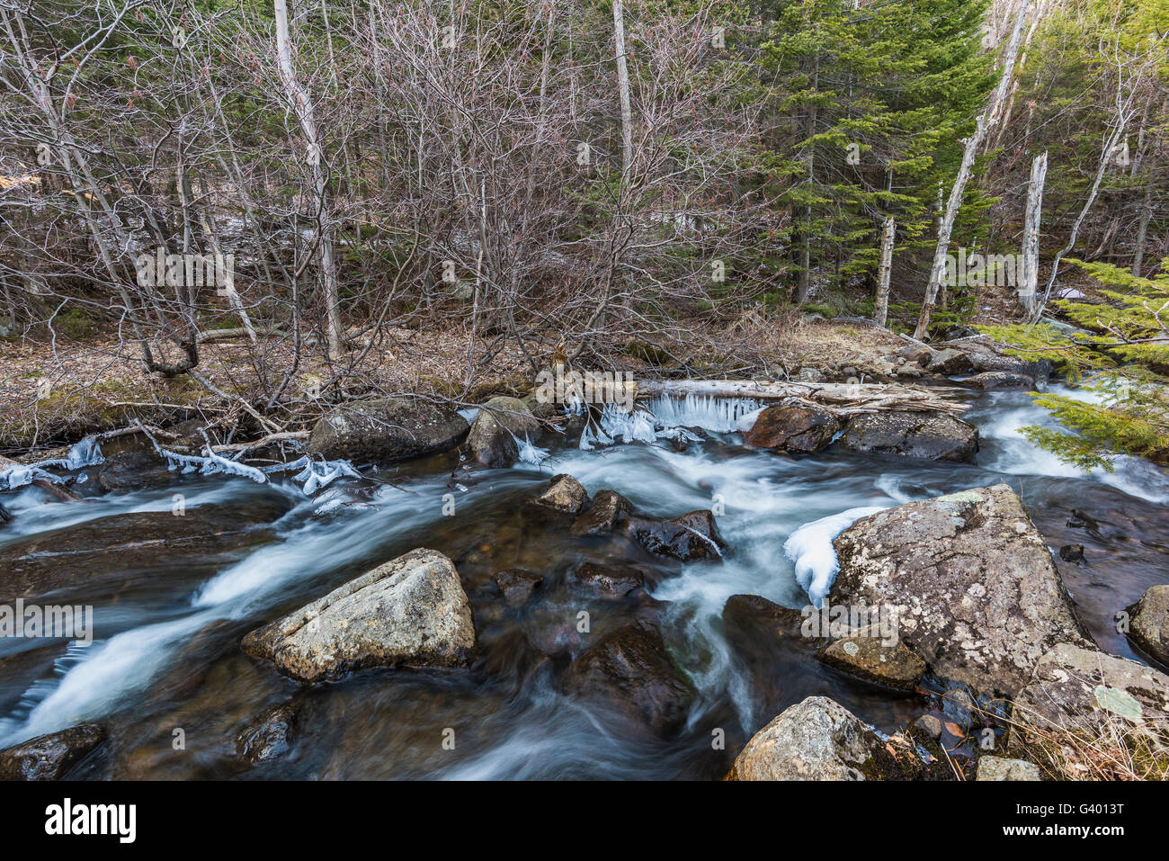 Brook spring hi-res stock photography and images - Alamy