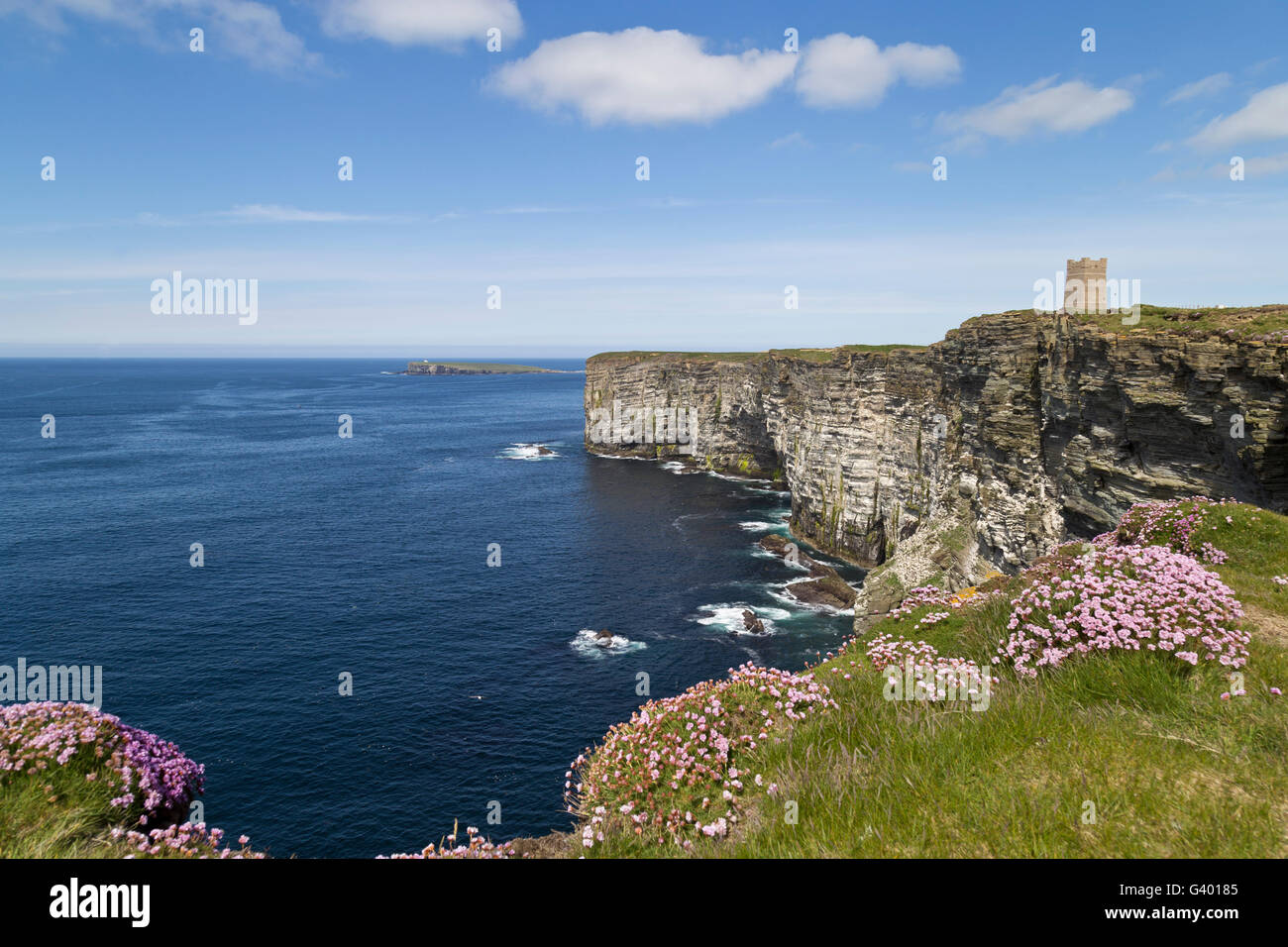 Marwick Head in summer Stock Photo - Alamy