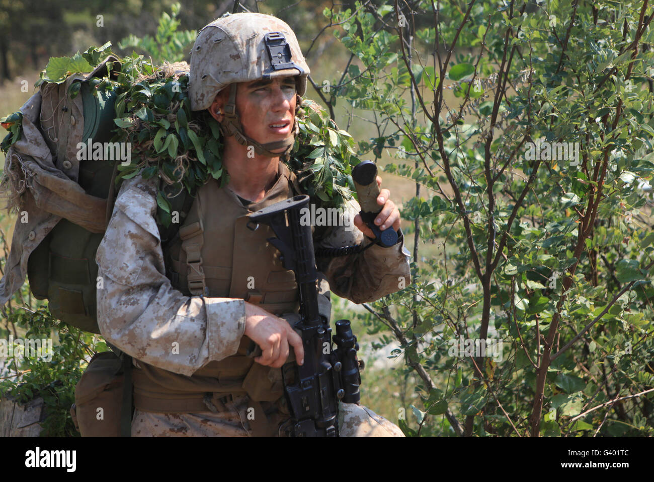 Scout sniper hi-res stock photography and images - Alamy
