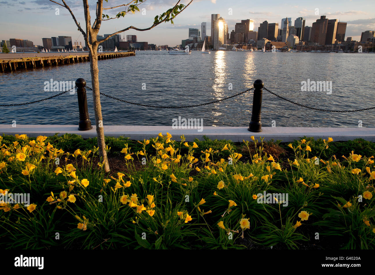 East Boston waterfront, Boston Harbor, skyline Stock Photo - Alamy