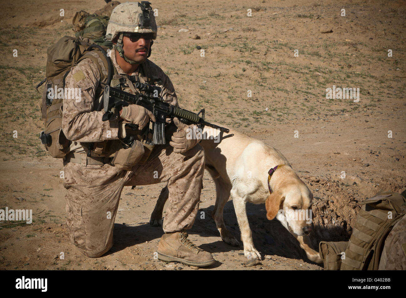 U s military uniforms hi-res stock photography and images - Alamy