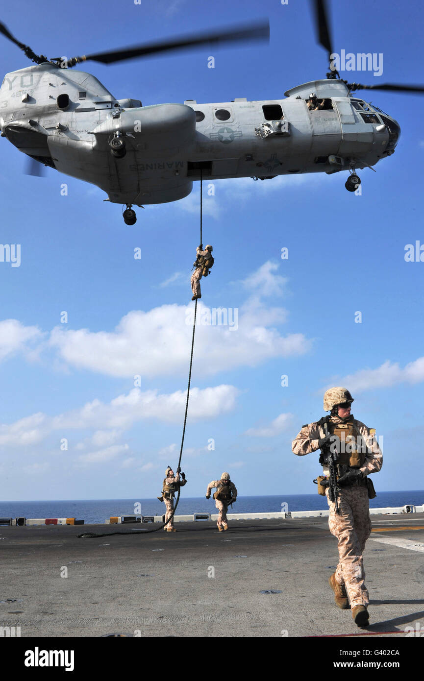 Marines fast rope from a CH-46E Sea Knight helicopter Stock Photo - Alamy