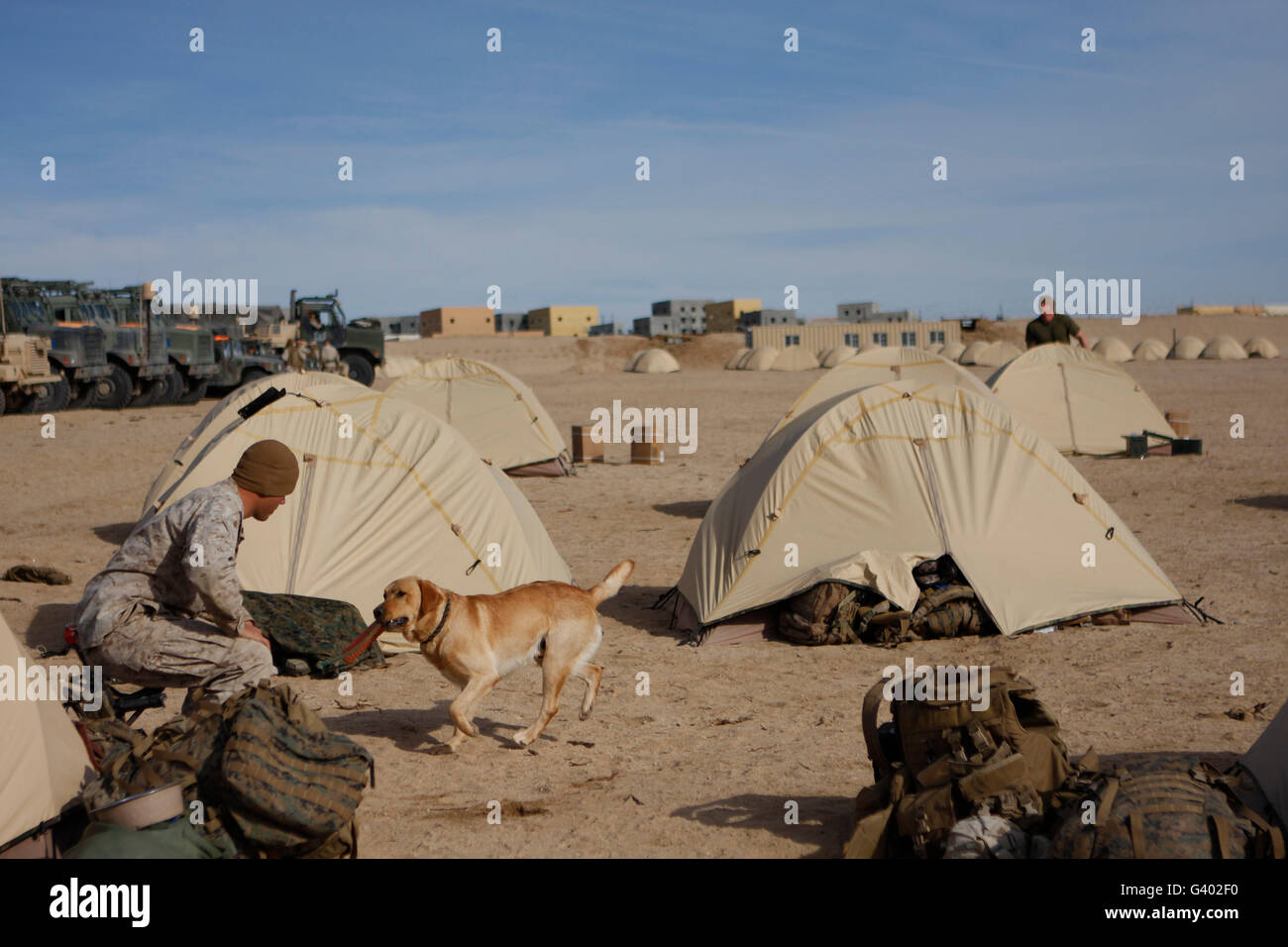 A dog handler and his military working dog play fetch Stock Photo - Alamy