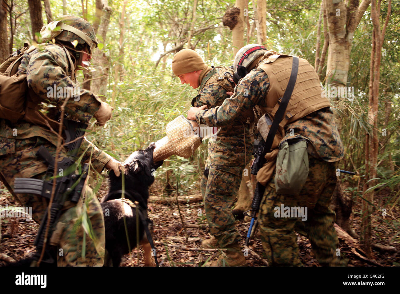 Tracking technique hi-res stock photography and images - Alamy