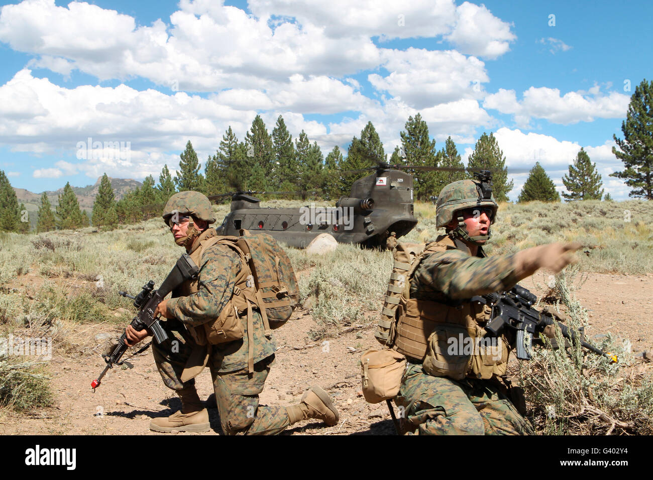 Soldier directs his Marines towards a CH-47 Chinook during an ...