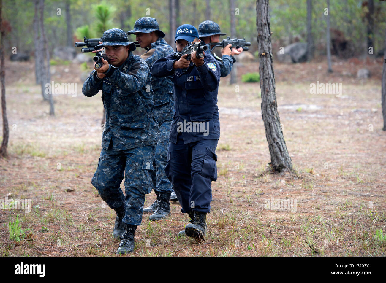TIGRES commandos conduct bounding overwatch exercises Stock Photo - Alamy