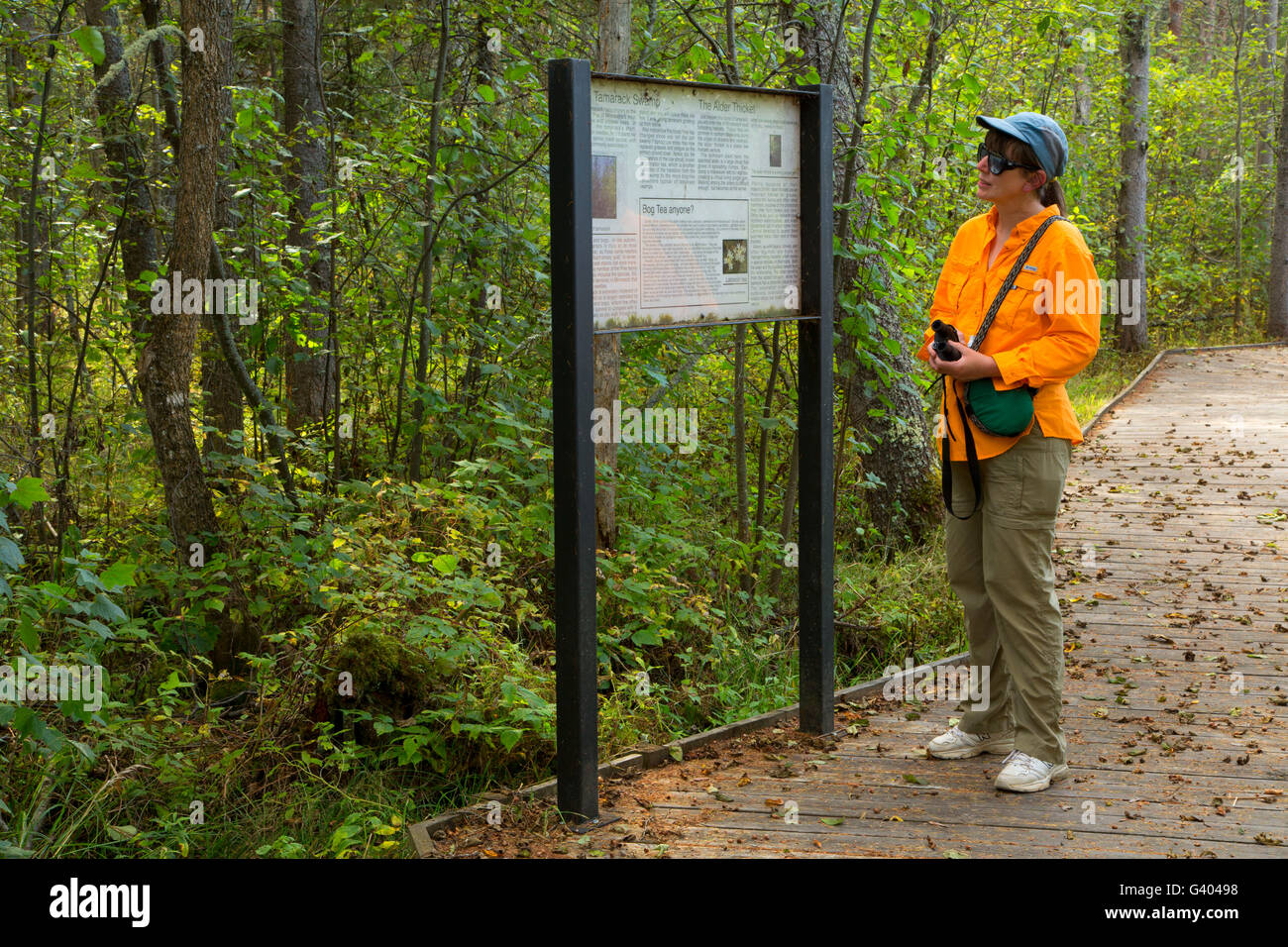 Interpretive board on boardwalk, Wetlands Interpretive Boardwalk ...
