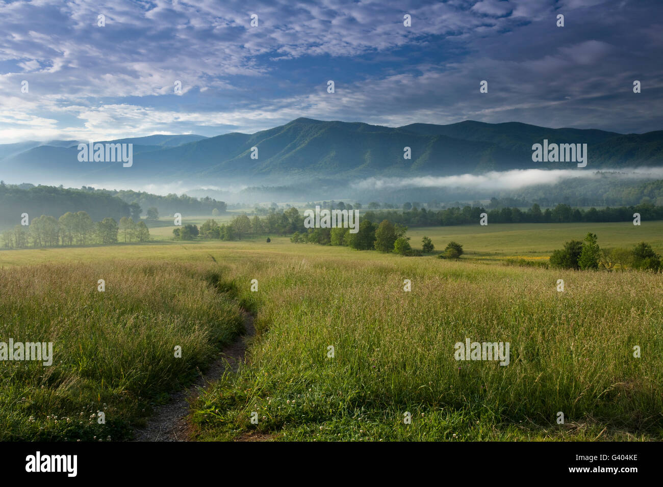 Path leads through a meadow and to the mountains in Cades Cove in the ...