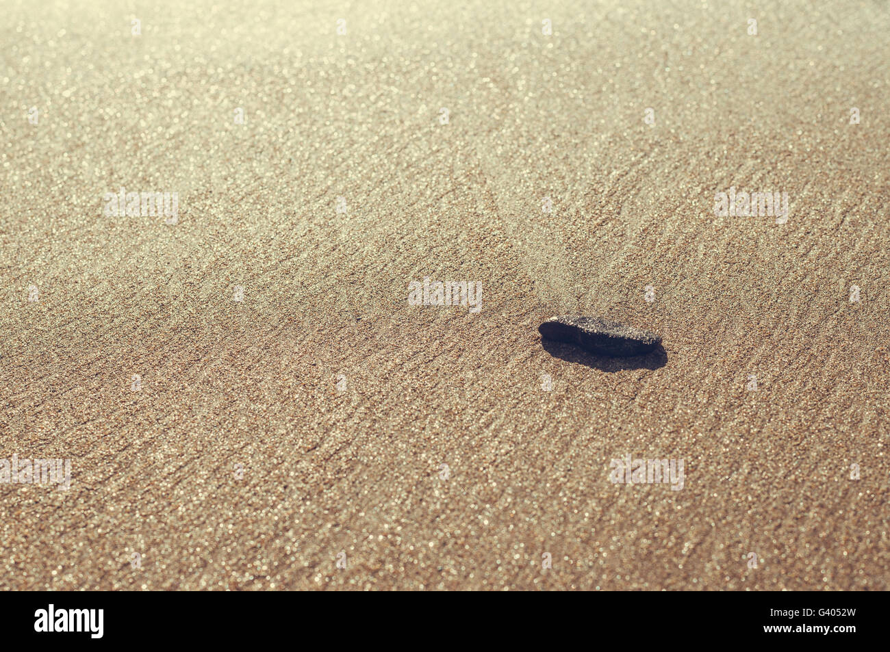 Single small stone lying on the beach, sandy abstract blurred ...